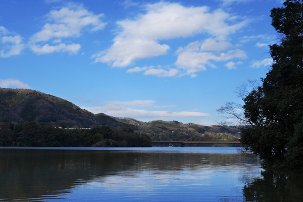 桜 | Natural Distortion Blog｜ナチュラルディストーションブログ