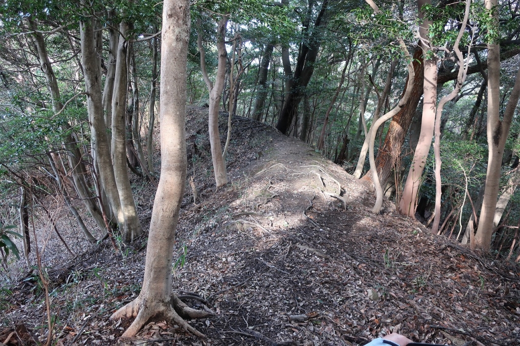 鞆ヶ浦道の「銀山学習」 | 石見銀山通信