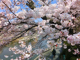 編み方は限りなくいろいろ | 風のたより