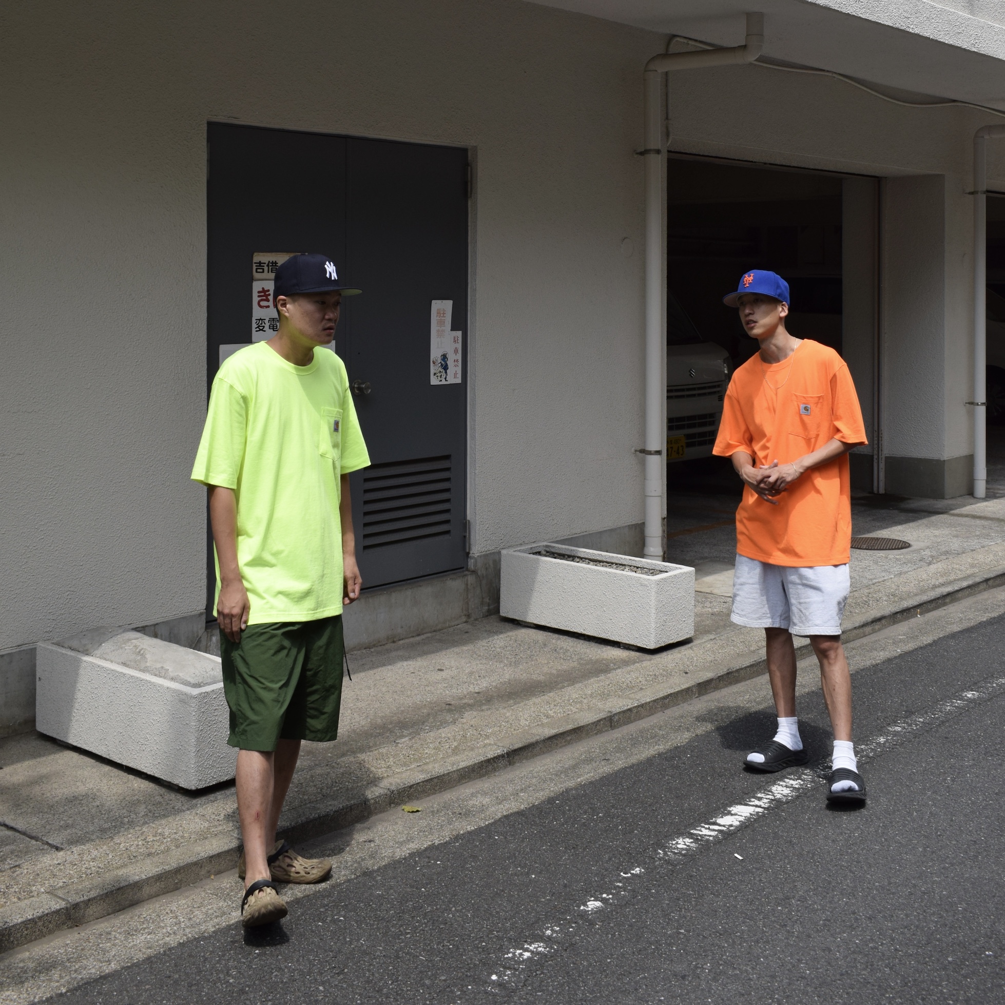 Cornucopia | the Apartment