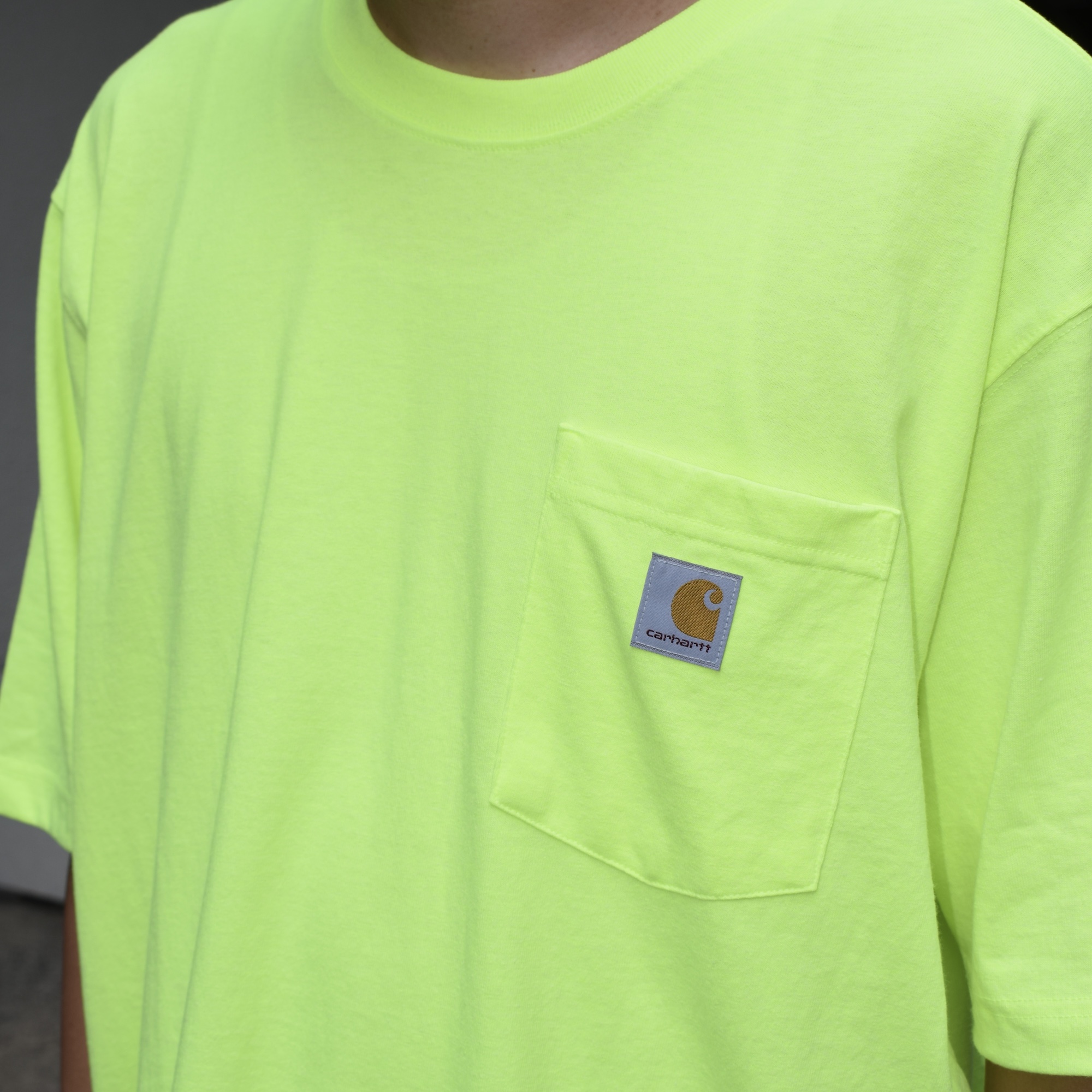 Cornucopia | the Apartment