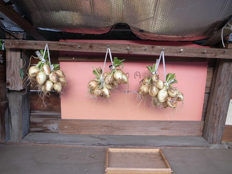 旧当尾小学校付近 | 木津川アート