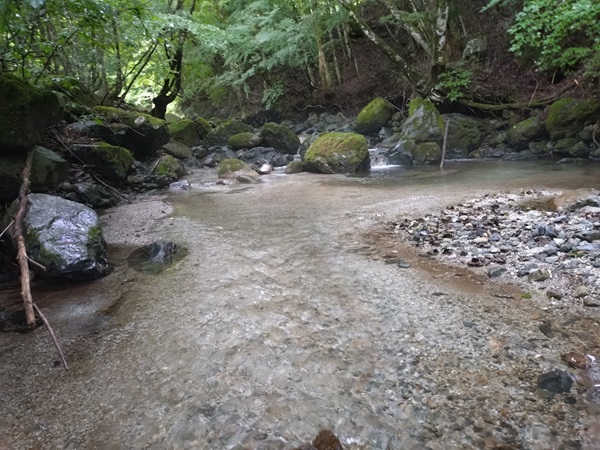 へっぽこトリオの釣り日記