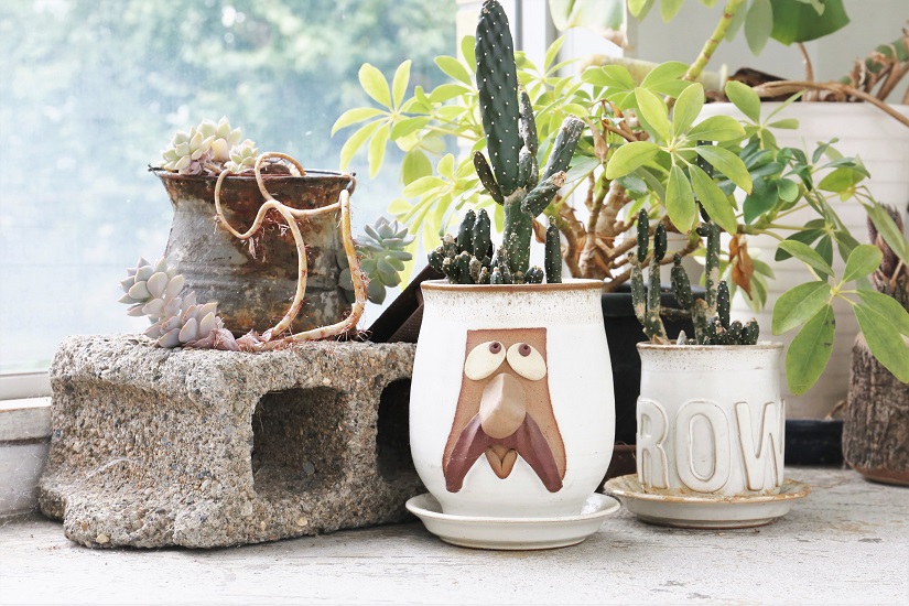 BROWN by 2-tacs FUNNY FACE POT | horkew blog